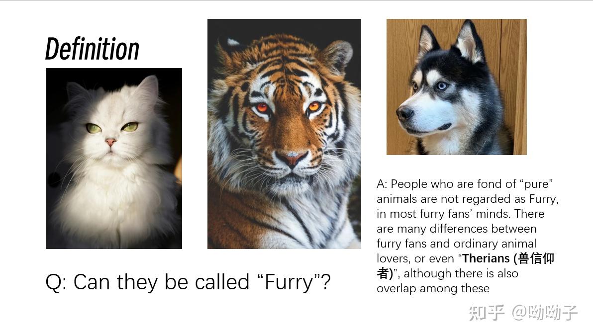 A Brief Introduction of Furry Culture and Furry Fandom - 知乎