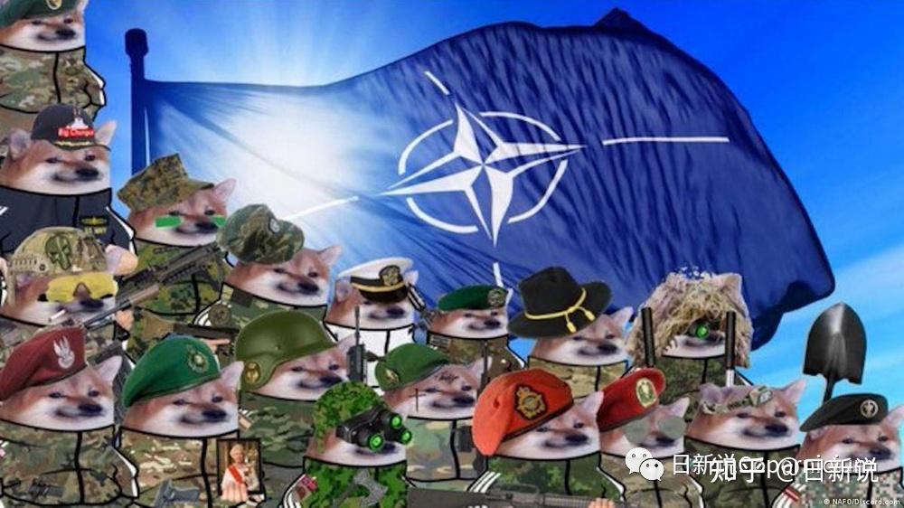 meme也是战争武器？网络模因如何参与和改变俄乌信息战 - 知乎