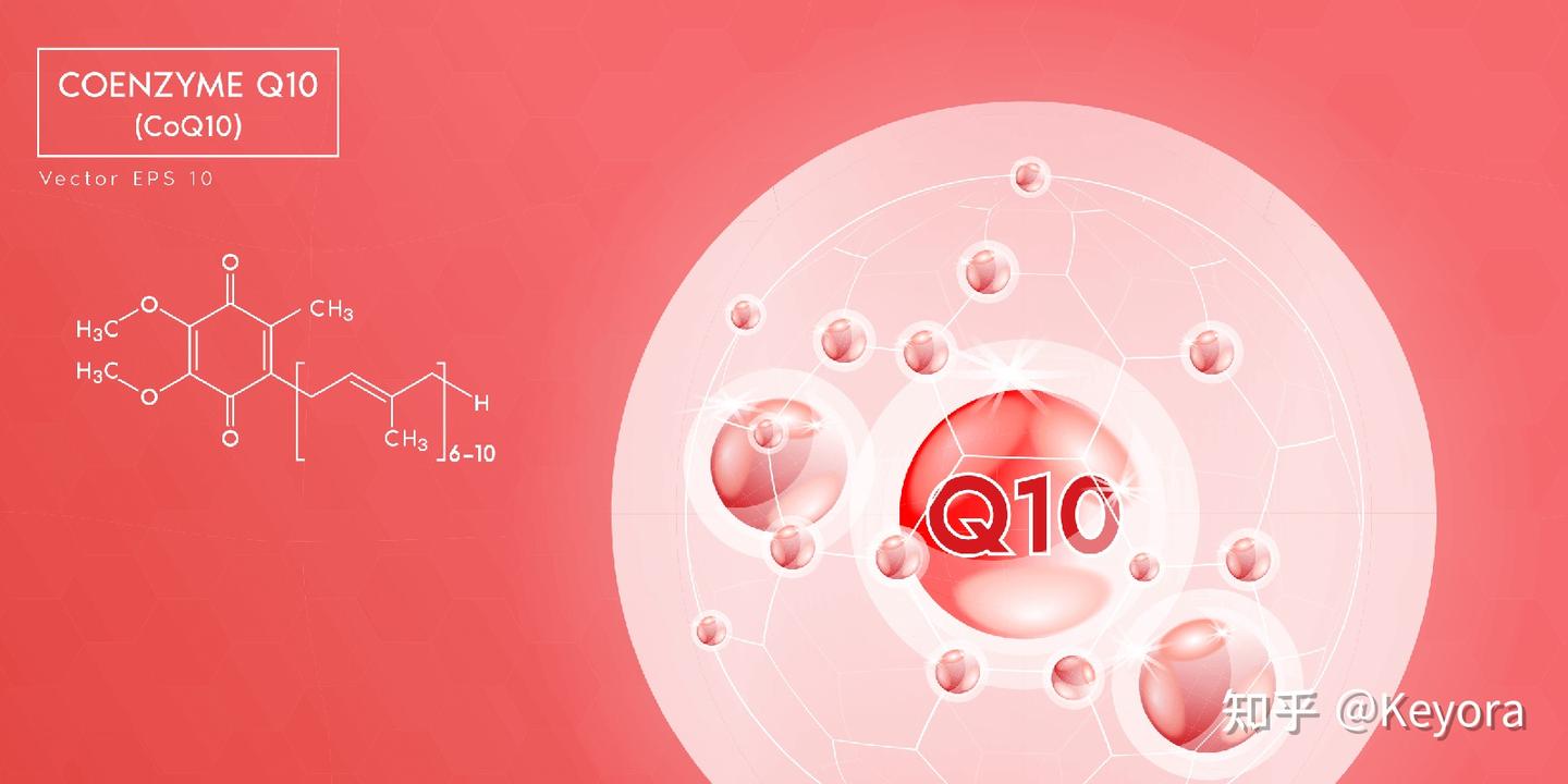 浅谈 - 辅酶 Q10 - 知乎