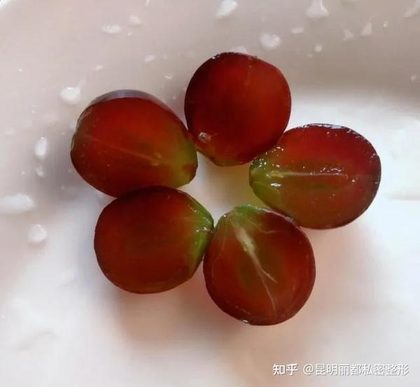带你正确认识女性的阴蒂 知乎