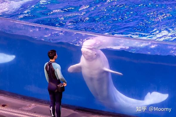 一家三口，珠海长隆海洋王国游玩攻略，真实走心版本！ - 知乎