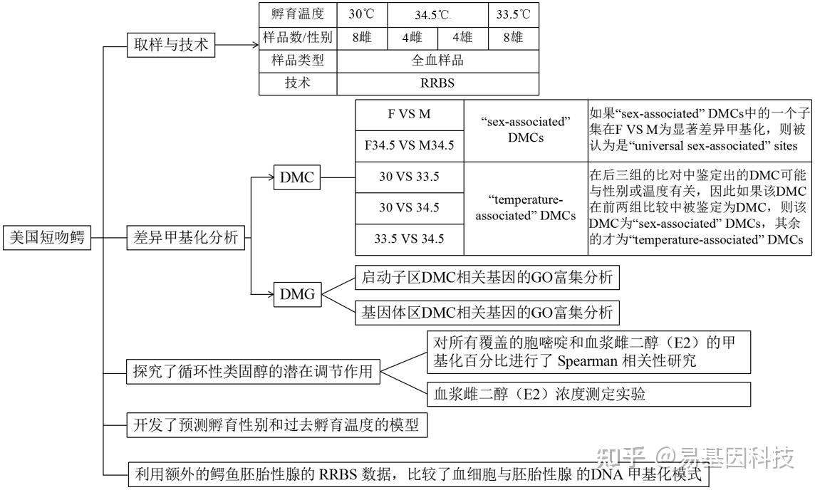 易基因｜TSD物种全基因组DNA甲基化模式对孵育性别和过去孵育温度的响应 | 性别决定 - 知乎