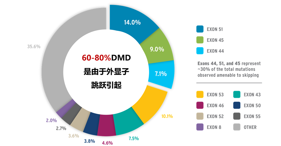 NucleoPro | DMD患者的曙光何时来临？ - 知乎