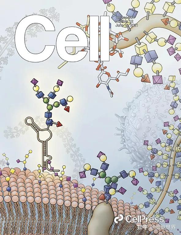 2021年6月，这些研究登上Cell Press期刊封面！ - 知乎