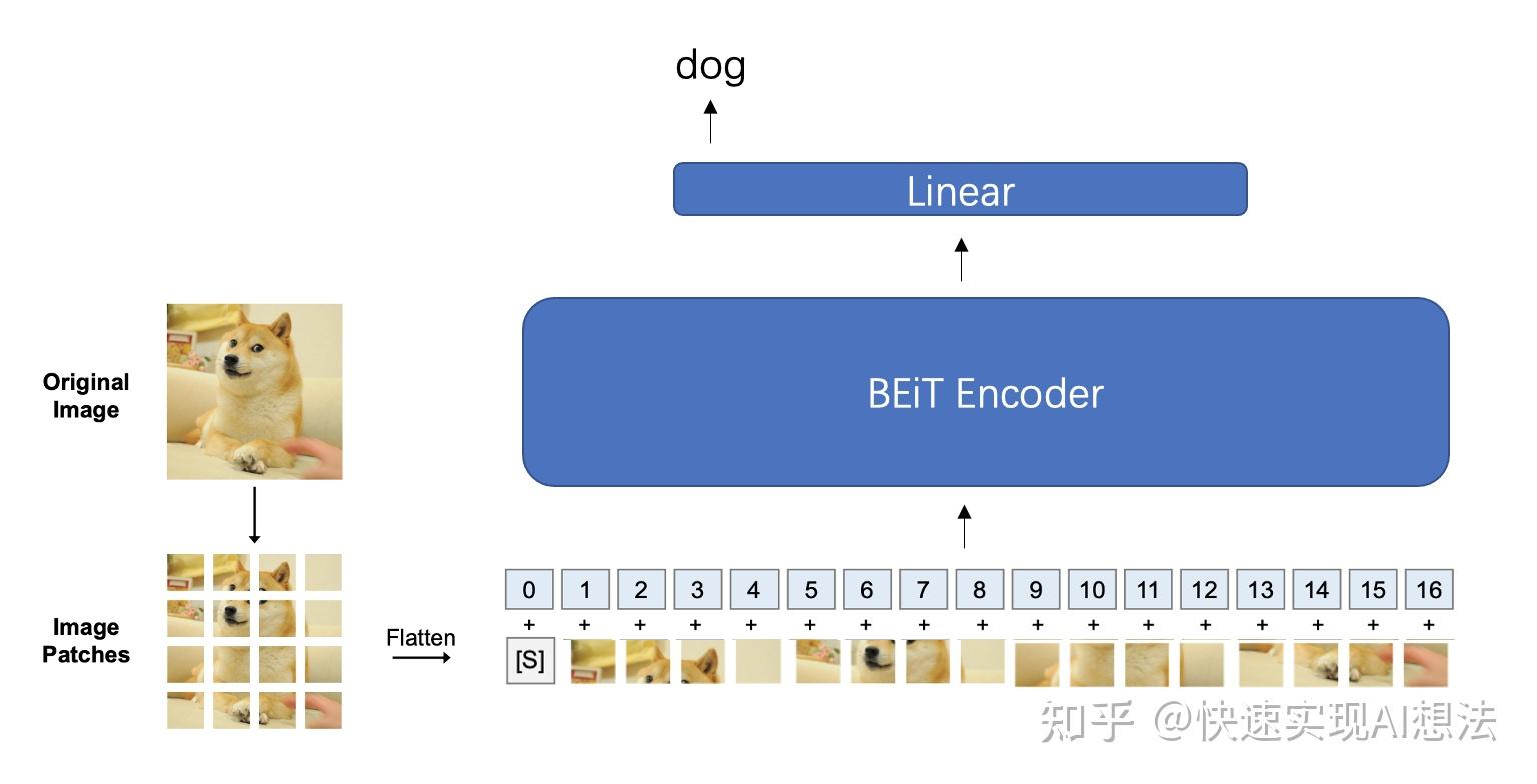 BeiT：当BERT用于图像任务——超越ViT新范式 - 知乎