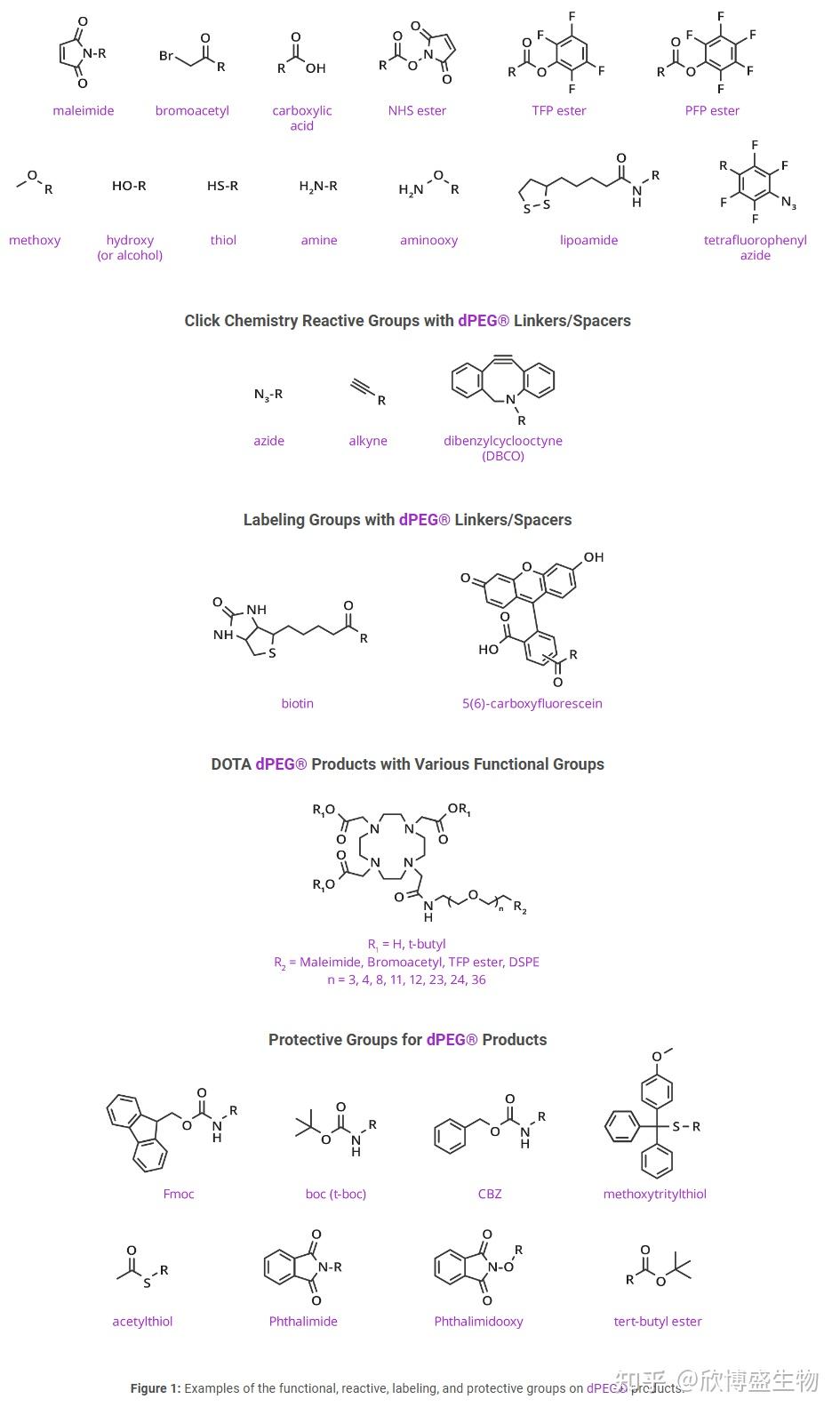 Vector Laboratories：用于生物偶联疗法BioDesign™ dPEG® Linker连接平台 - 知乎