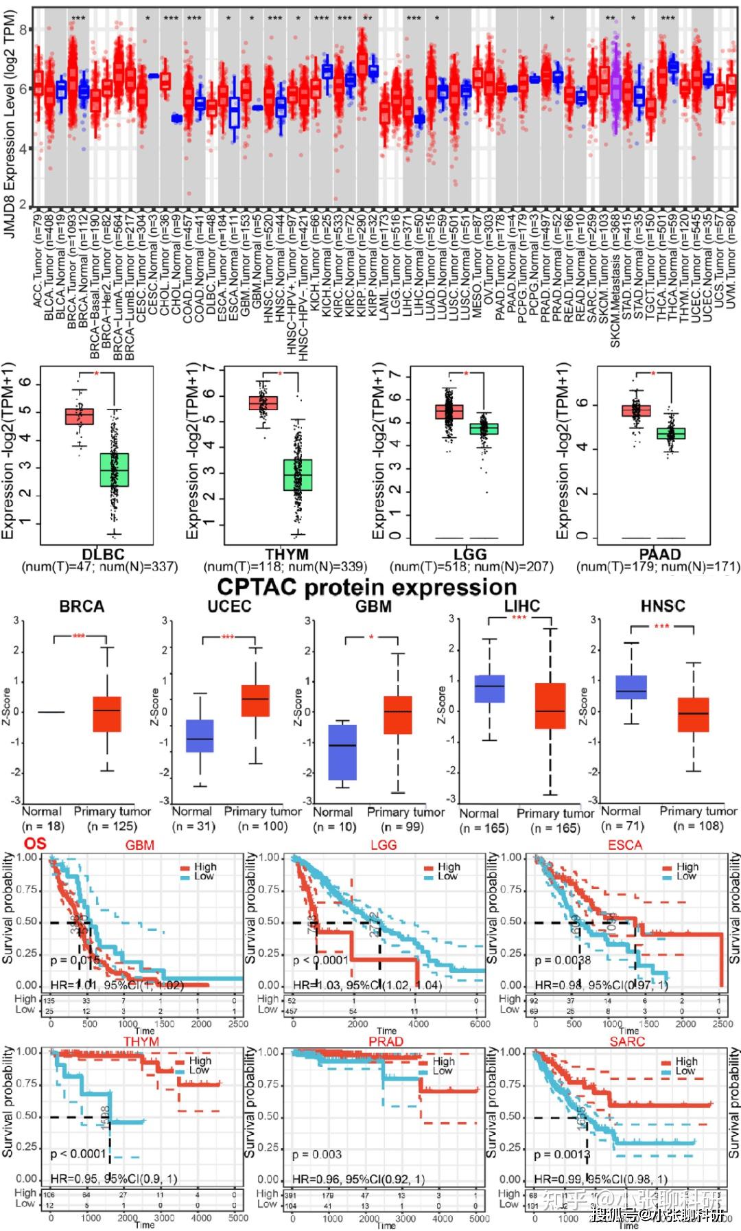 单方面官宣，这是单基因生信研究天花板！ - 知乎