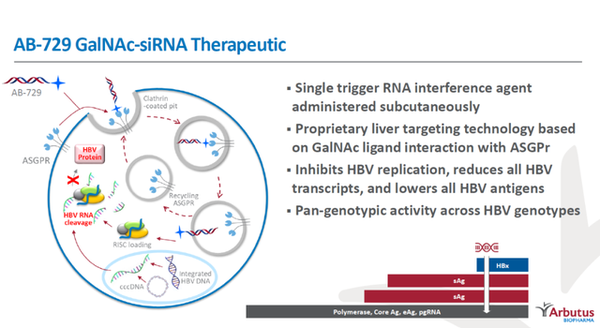 从特宝生物与Aligos合作，看siRNA在乙肝治疗领域的进展 - 知乎