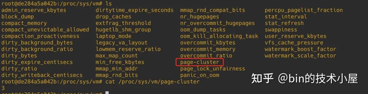 一文聊透 Linux 缺页异常的处理 —— 图解 Page Faults - 知乎