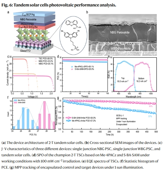 宁波材料所葛子义最新Nat. Commun：2T all-PTSC效率28.5%！低酸性硼酸功能化SAM缓解NiOx腐蚀 - 知乎