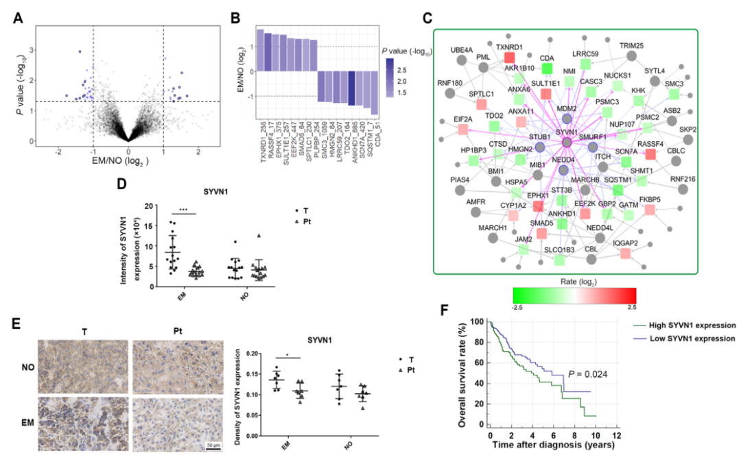 临床蛋白质组学案例 | 整合蛋白质组学揭示了E3泛素连接酶SYVN1在肝癌转移中的作用 - 知乎