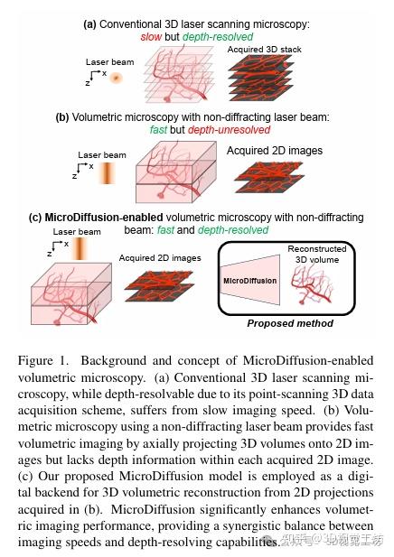 CVPR'24 | 从有限的2D显微投影到高清3D重建 - 知乎