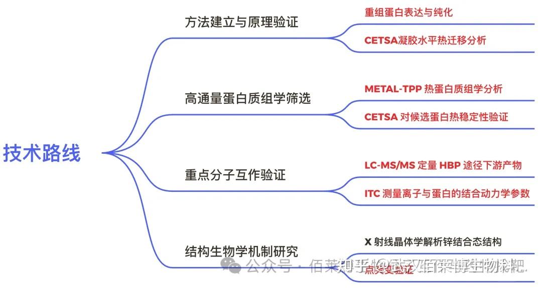 从高通量筛选到精准验证：TPP热蛋白质组学+CETSA稳定性验证+ITC亲和力测定+点突变解析金属离子与蛋白互作全流程 - 知乎