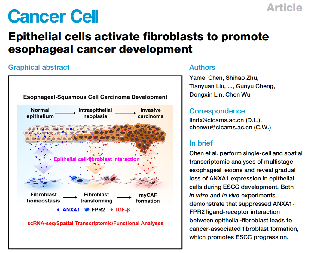 世界肿瘤日丨单细胞测序技术助力肿瘤临床诊疗发展 - 知乎