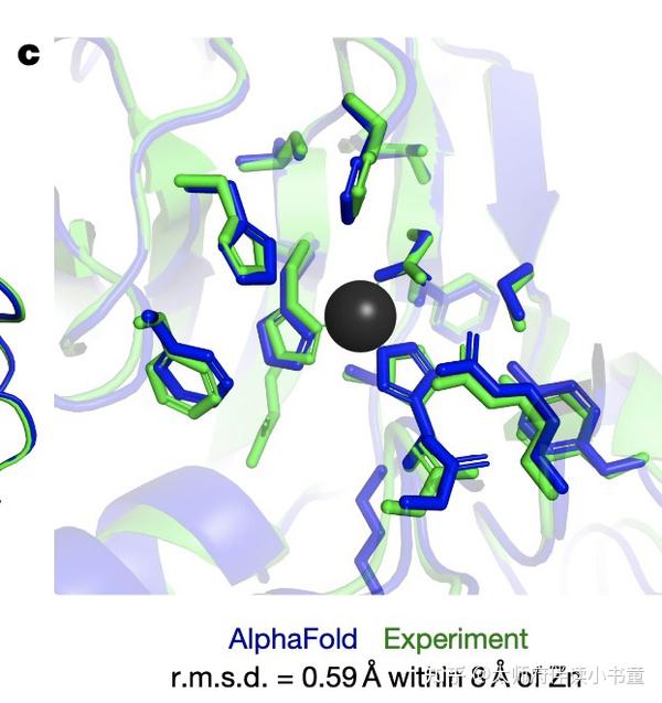 GoDeep系列（十）：AlphaFold 2模型结构拆解（框架） - 知乎