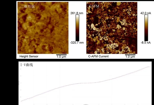 AFM之PeakFoce TUNA和C-AFM - 知乎