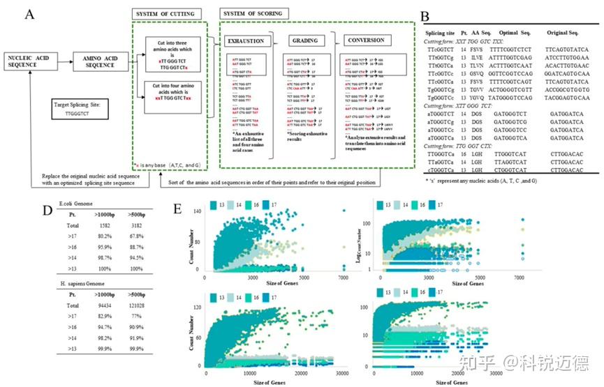 Clean-PIE超越ORNA：科锐迈德公开环状RNA成环框架底层技术 - 知乎
