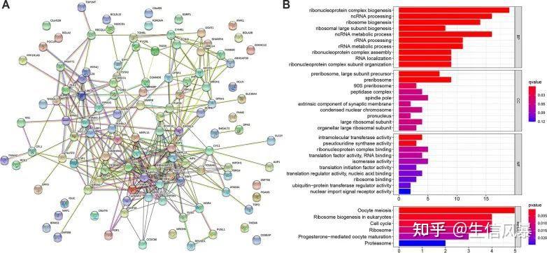5+单基因+免疫浸润，这篇肿瘤预后文章你值得拥有 - 知乎