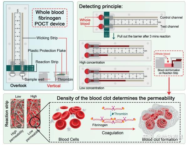 基于微流控技术、快速检测全血纤维蛋白原浓度的POC装置 - 知乎