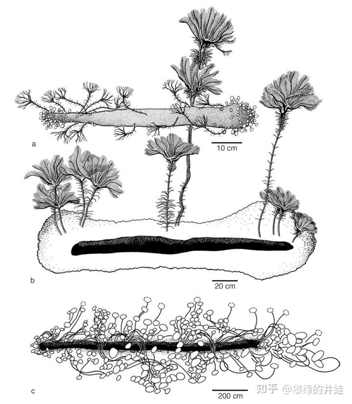 【地球演义】第二百七十四回 异界来客7：Alura Une - 知乎