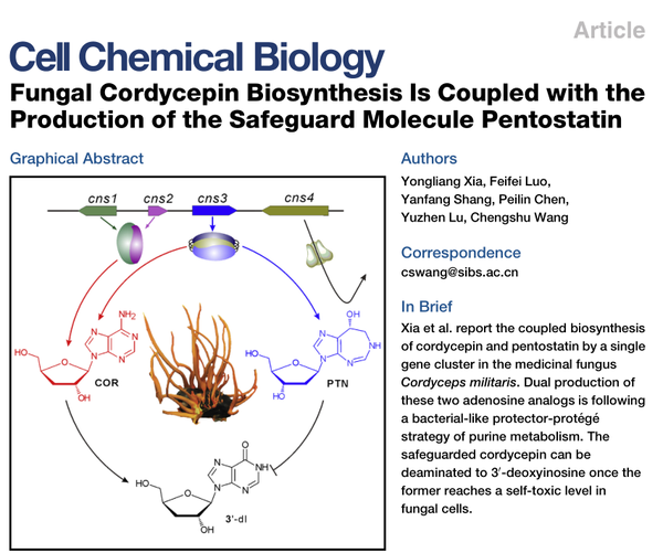 冬虫夏草：你才有虫草素，你全家都有 - 知乎