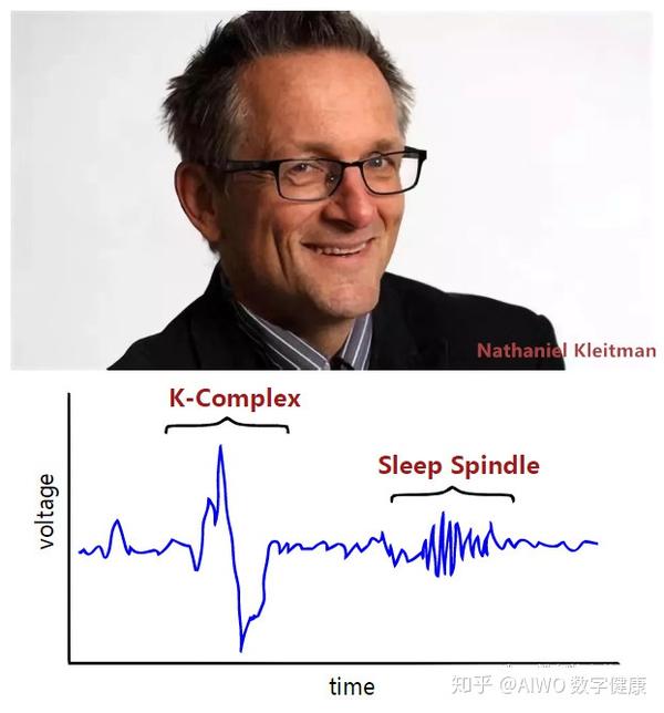 睡眠有多重要？看看睡眠史上的经典实验吧 - 知乎