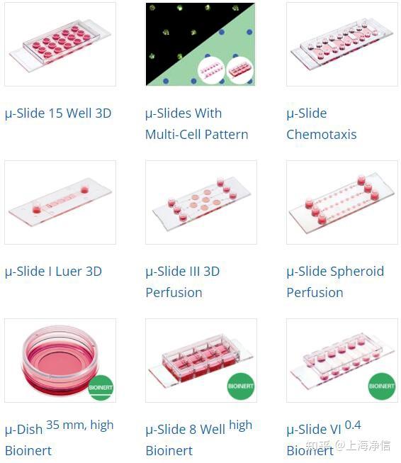 ibidi 3D细胞培养模型 – 概述 - 知乎