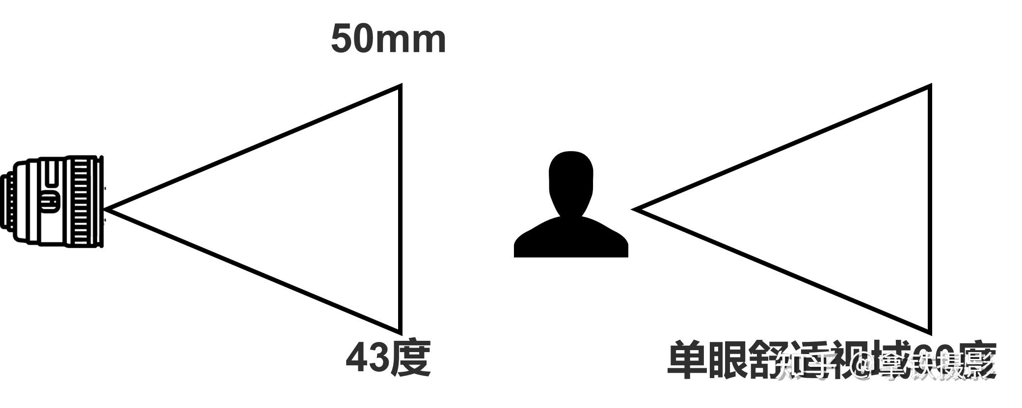 零基础摄影，一文看懂标准镜头！！ - 知乎