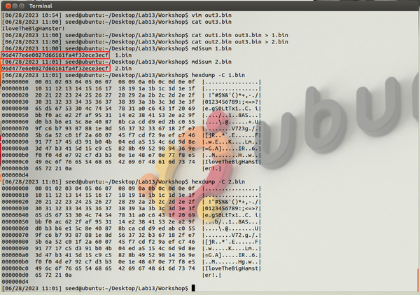 漏洞分析 Lab13 MD5 Collision Attack Lab - 知乎