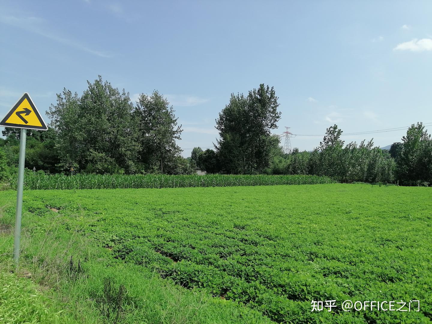 EXCEL-VBA：读取指定目录下的图片文件名称到单元格中 - 知乎