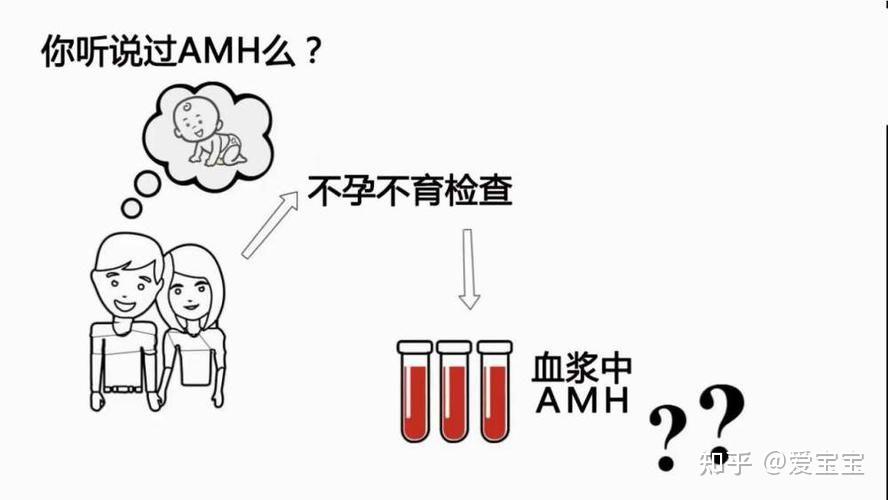 AMH低做好这几点也有机会怀孕 - 知乎