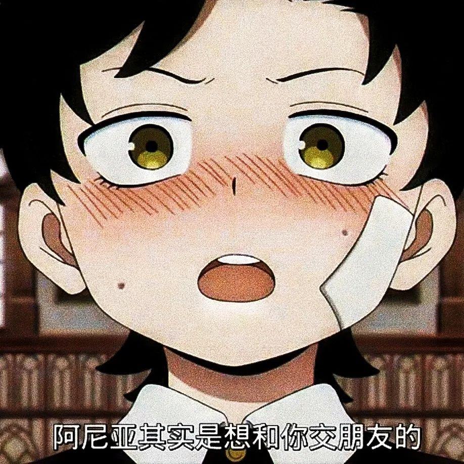 冷淡风的头像 - 知乎