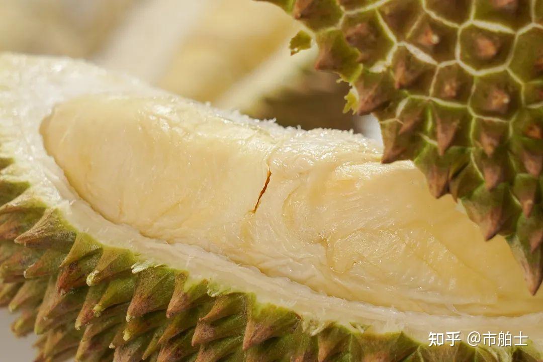 D198金凤榴莲 | 马来西亚的“榴莲女王” - 知乎