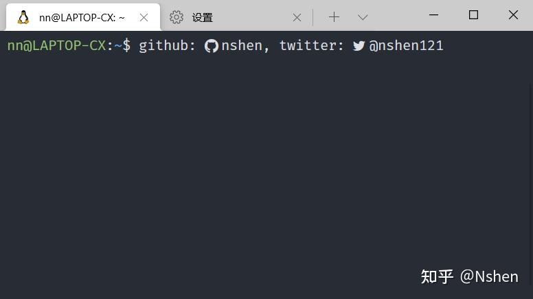 在 Windows Terminal 与 WSL 2 下安装 Neovim - 知乎