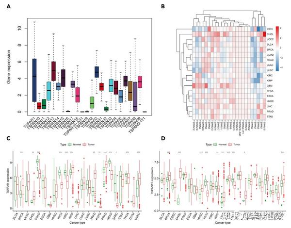 6+cell子刊发表基因集泛癌纯生信，基因集泛癌生信大有可为！ - 知乎