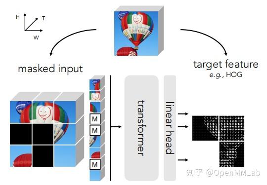 自监督学习系列（三）：基于 Masked Image Modeling - 知乎