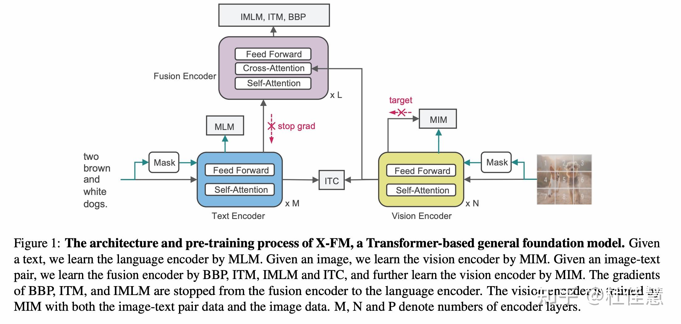 Toward Building General Foundation Models for Language,Vision,and ...
