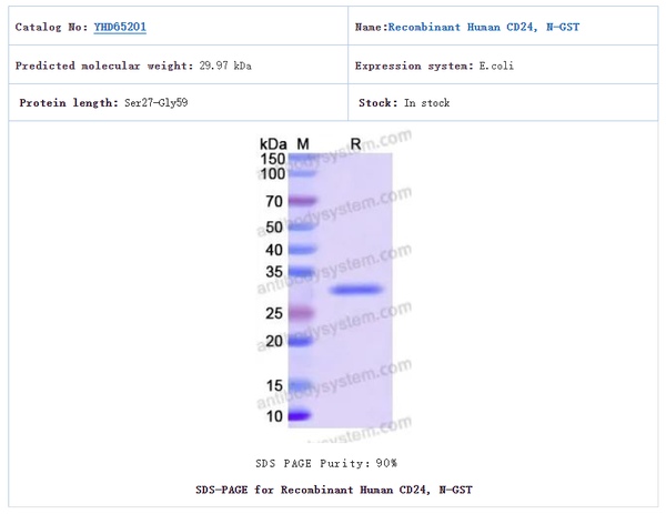 【高分文献解读第一期】CD24说：“Don't eat me！” 肿瘤免疫治疗该怎么办？ - 知乎