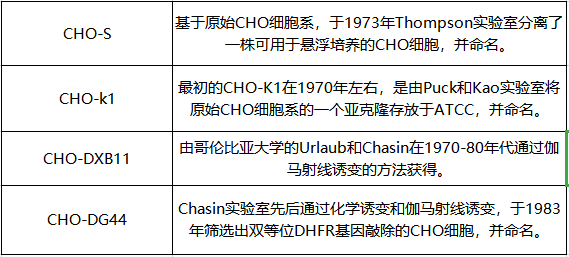 CHO细胞揭秘 - 知乎