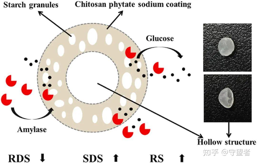 Food Hydrocolloids：被包封在壳聚糖-植酸钠胶囊中的淀粉性质和体外消化性 - 知乎