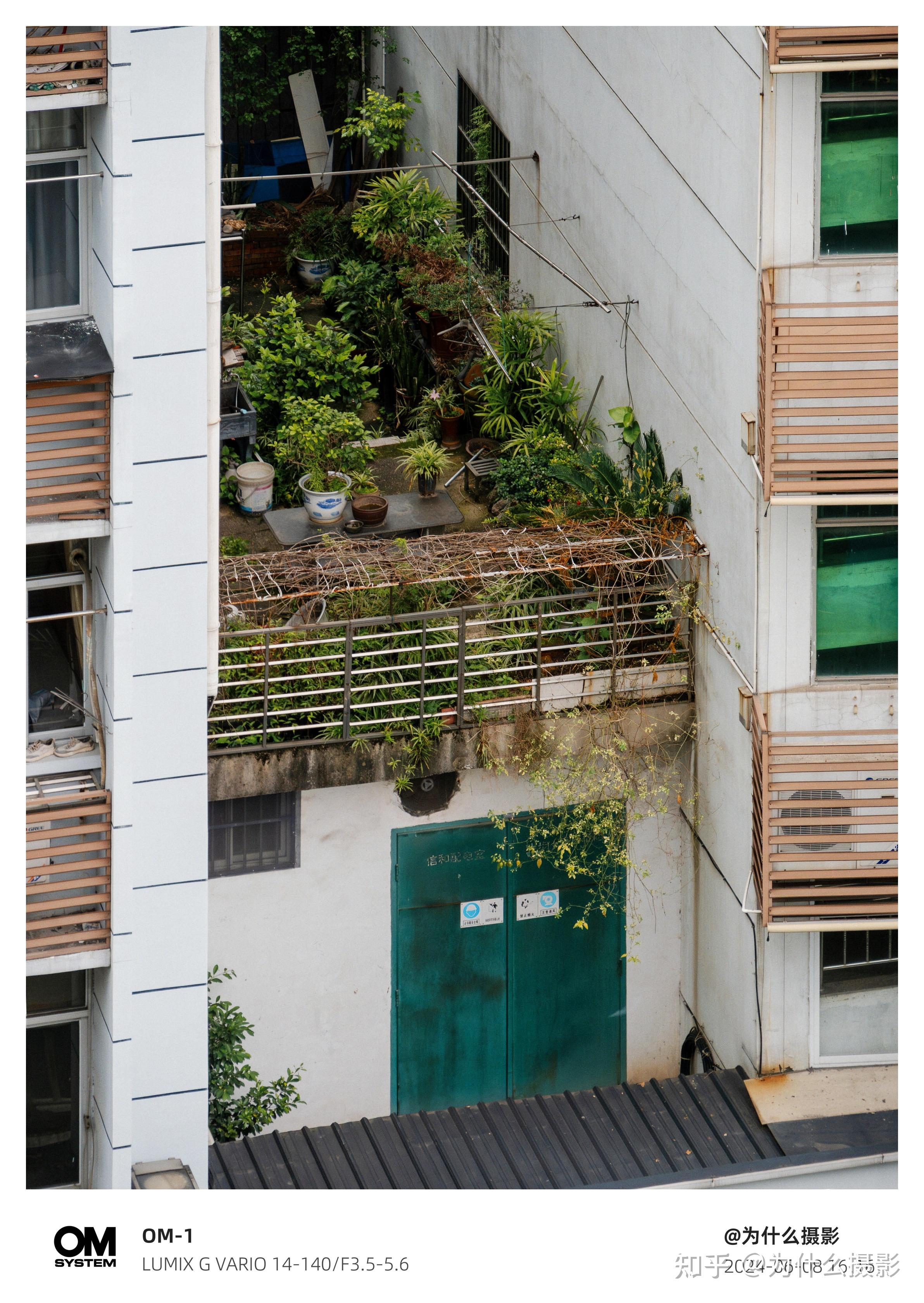 松下M43大变焦旅游头14-140二代试拍 - 知乎