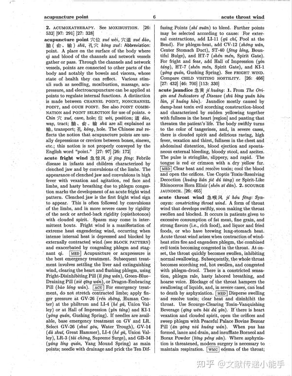 实用英文中医词典,A Practical Dictionary of Chinese Medicine-Paradigm ...