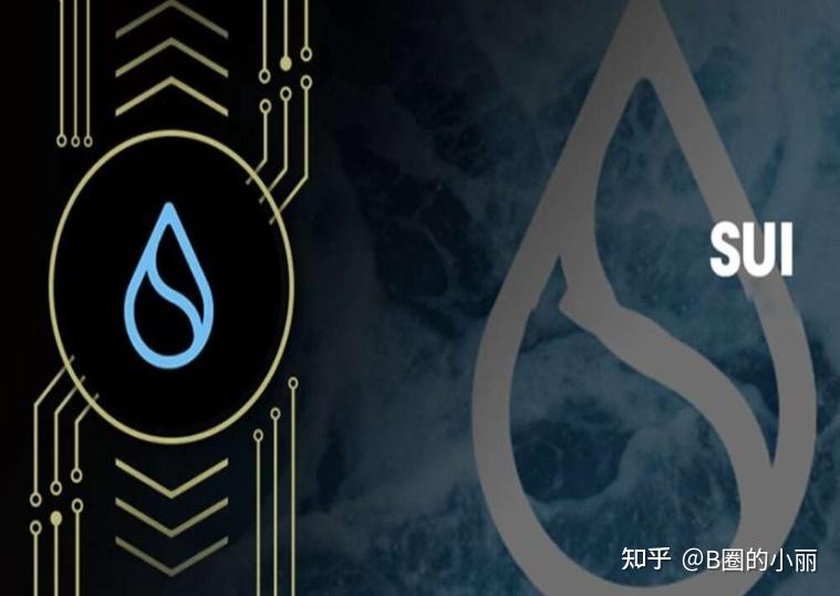 SUI会是个十倍的项目吗？什么价格能接货？ - 知乎