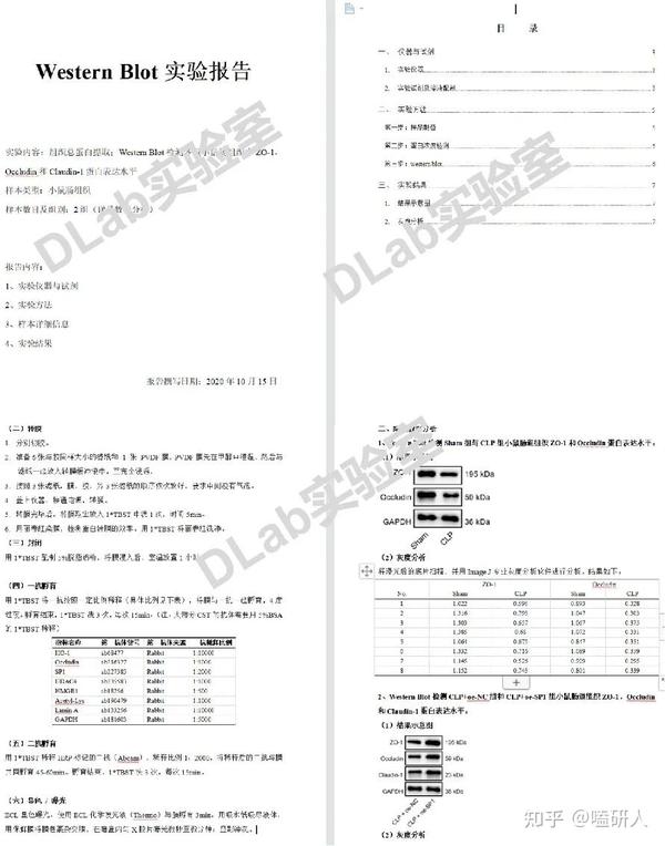 “这才叫实验记录，你那叫草稿本！” - 知乎