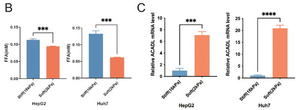 Q1区10分+单细胞联合bulk RNA！聚焦热点方向“代谢”，打造生信分析文章新高度！ - 知乎