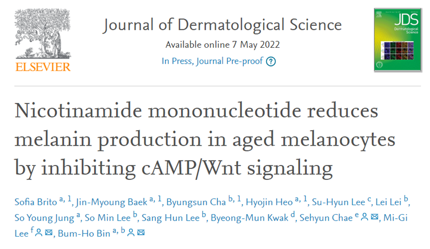 2022上半年NMN研究盘点 - 知乎