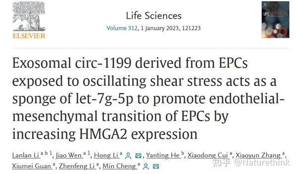 振荡剪切应力诱导的EPCs外泌体circ_1199在EPCs间质转化及病理性血管重构中的作用及机制 - 知乎