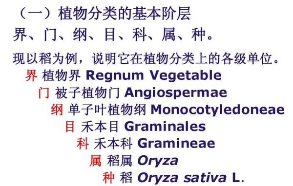 植物分类层次结构的七个级别~