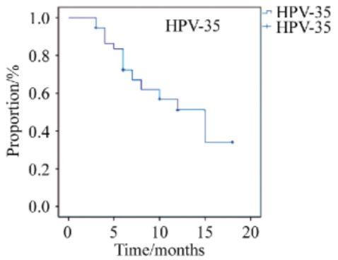 【深度】你需要知道的HPV最全百科 - 知乎