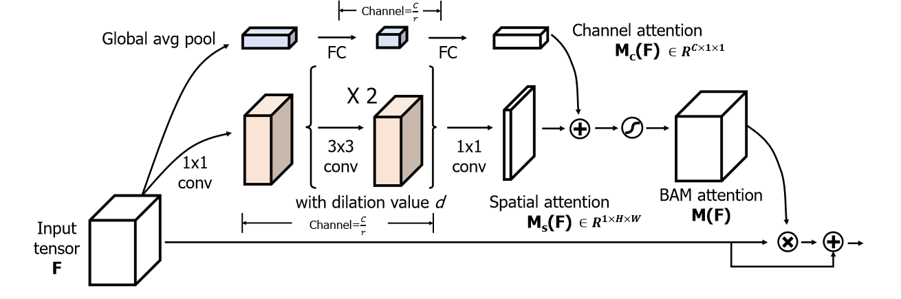 注意力机制BAM和CBAM详细解析（附代码） - 知乎